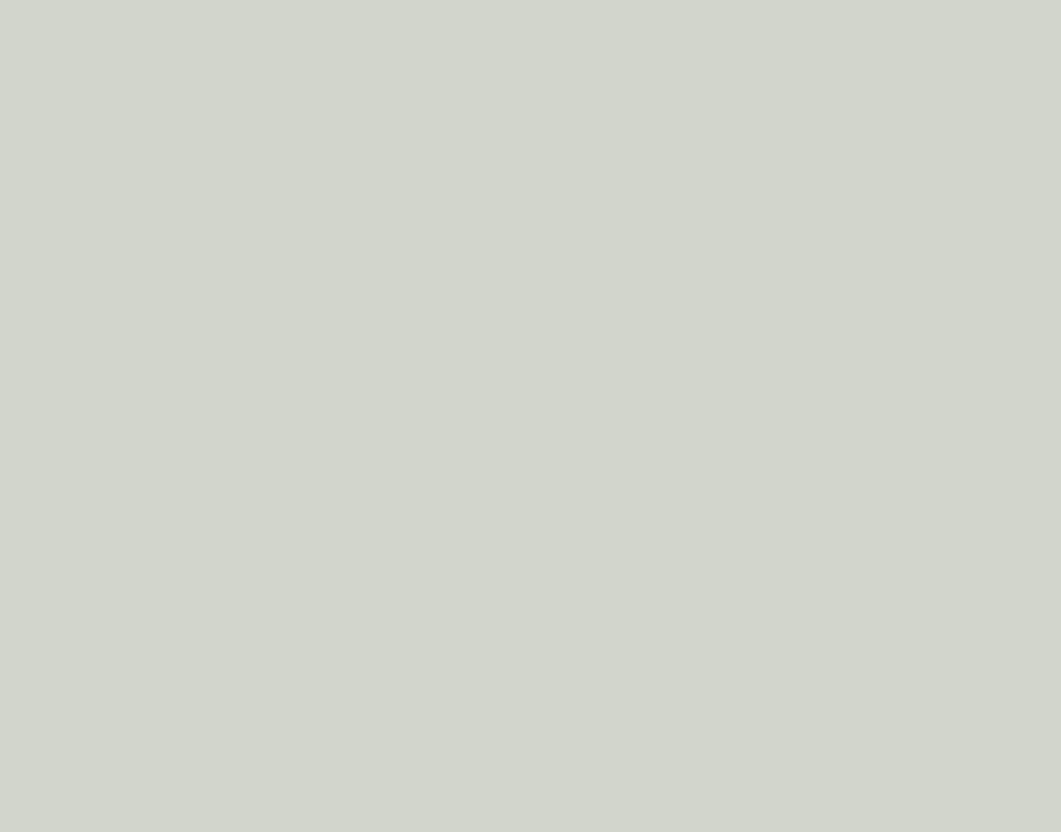 Fassadenplatte Rockpanel Colors Standard RAL 7035 Lichtgrau A2 ...
