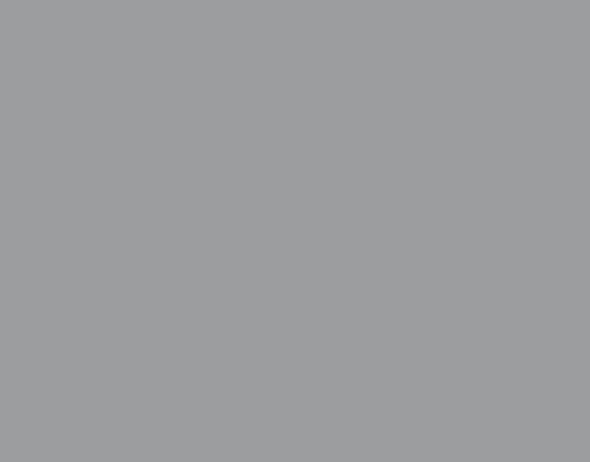 Fassadenplatte Rockpanel Colors Standard RAL 7004 Signalgrau A2 ...