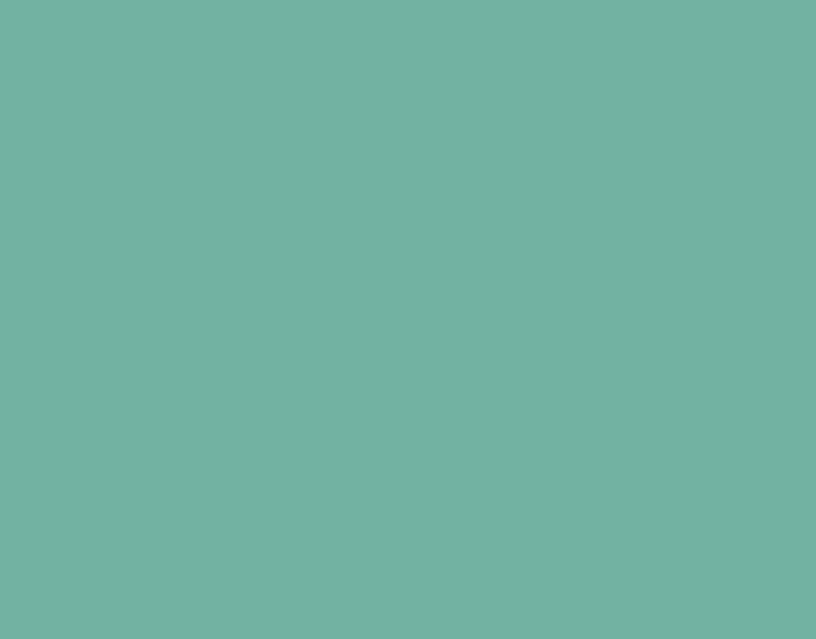 Fassadenplatte Rockpanel Colors Standard RAL 6034 Pastelltürkis A2 ...