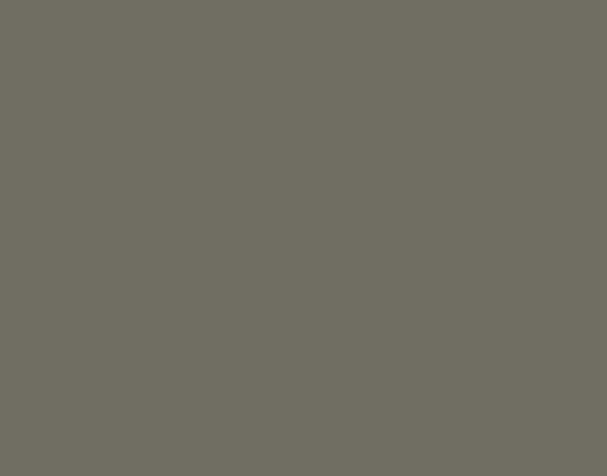 Fassadenplatte Rockpanel Colors Standard RAL 060 50 05 A2 Brandklasse ...